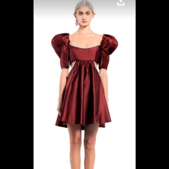 AREA | Dresses | Area Sculpted Sleeve Dress | Poshmark